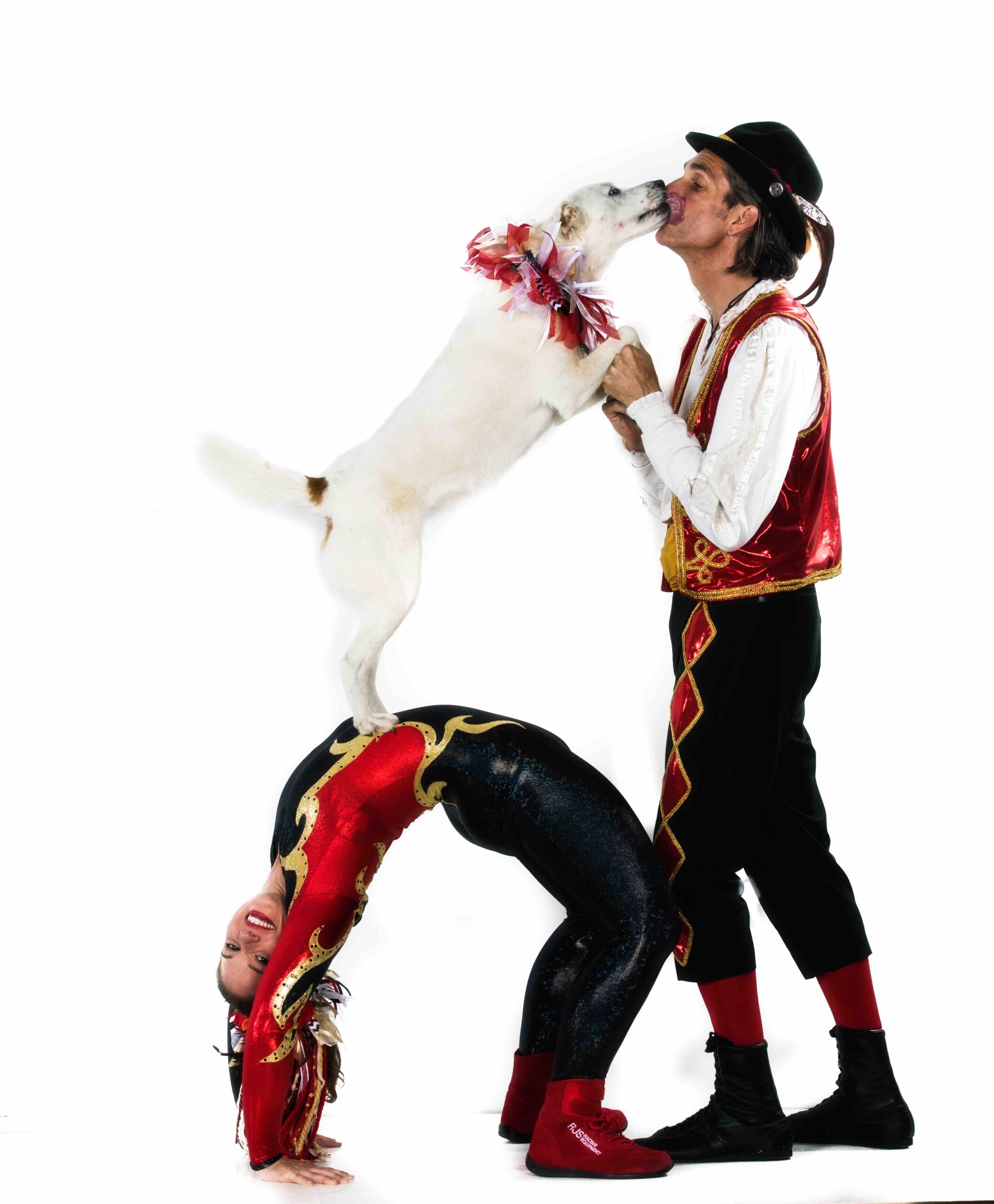 Circus Stella 4 – Jefferson County Fair